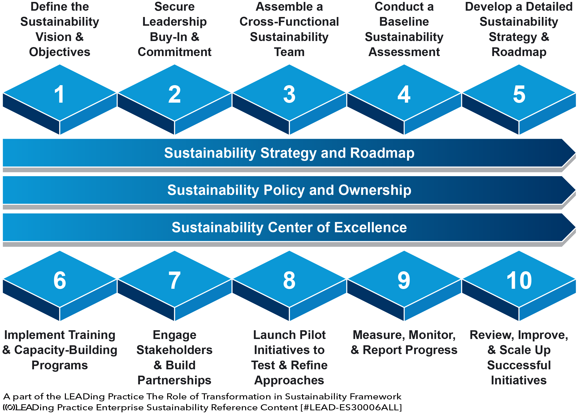 The Role of Transformation in Sustainability